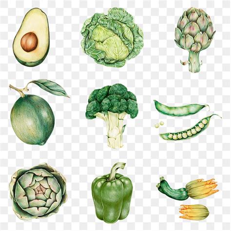 Halfandhalfdrawing Illustrated Images Free Photos Png Stickers
