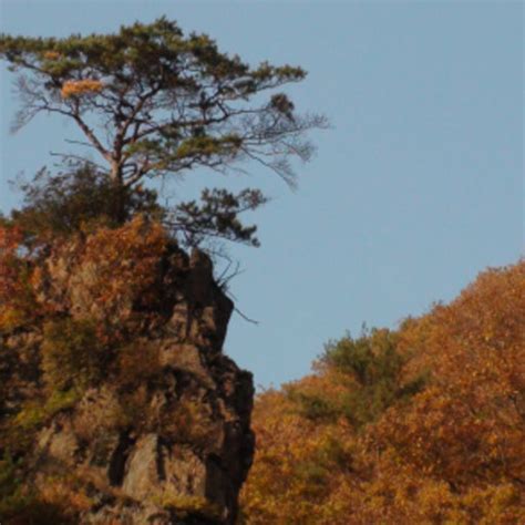 Xiuling Li Dr Dalian Institute Of Chemical Physics Dalian Dicp Research Profile