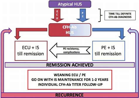 Recommendation For The Treatment Of Cfh Ab Hus At The Onset Of