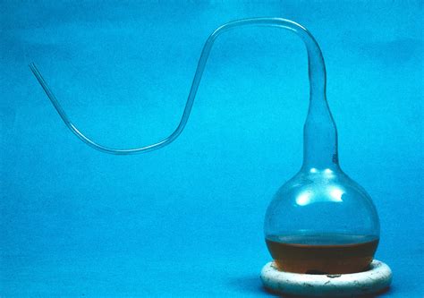 Louis Pasteur S Shaped Flask Experiment At Amanda Gowan Blog