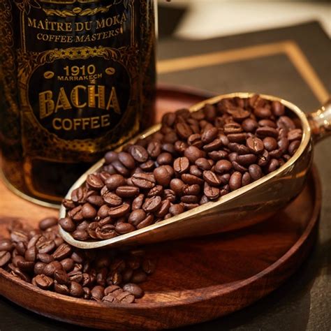 Myanmar Danu Gold Coffee Single Origin Bacha Coffee