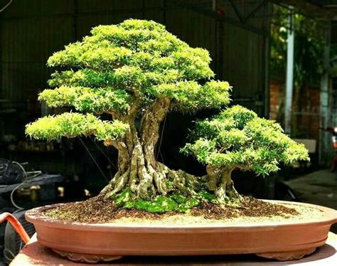 Kuliner Area Porong Japanan Bangil Pandaan Kedai Yg Cukup Terkenal Di