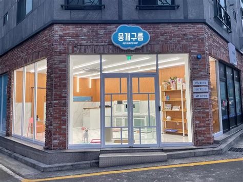 뭉개구름 경북 경산시 애견동반 미용