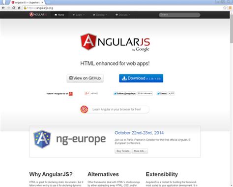 JavaScript Frameworks And Libraries To Learn Next Dummies