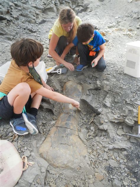 Dig For A Day Wyoming Dinosaur Center Fossil Dig Site