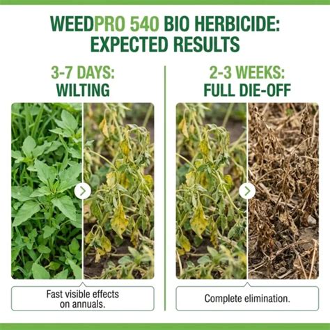Weedpro 540 Bio Herbicide Broad Spectrum Weed Control