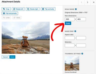 How To Resize And Edit Images In WordPress The Right Way