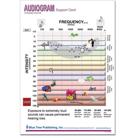 Audiogram Of Everyday Sound Anatomical Chart Speech Banana Frequency