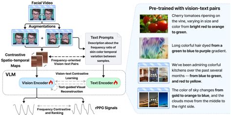 논문 리뷰 Bootstrapping Vision Language Models For Self Supervised Remote Physiological Measurement