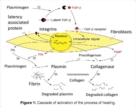Verapamil As Alternative Treatment In Hypertrophic And Keloid Scars