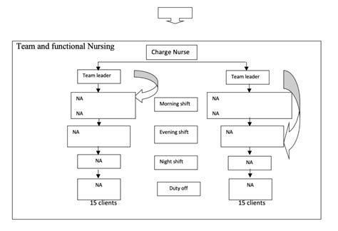 The Innovation Of Nursing Care Delivery System A Hybrid Model