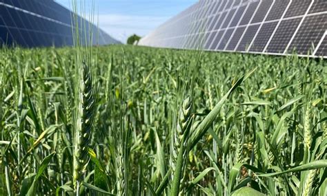 Scientific Agri Photovoltaics Research Facility In Austria Ragrivoltaics
