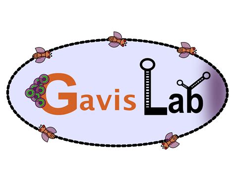 Elizabeth R Gavis The Gavis Lab