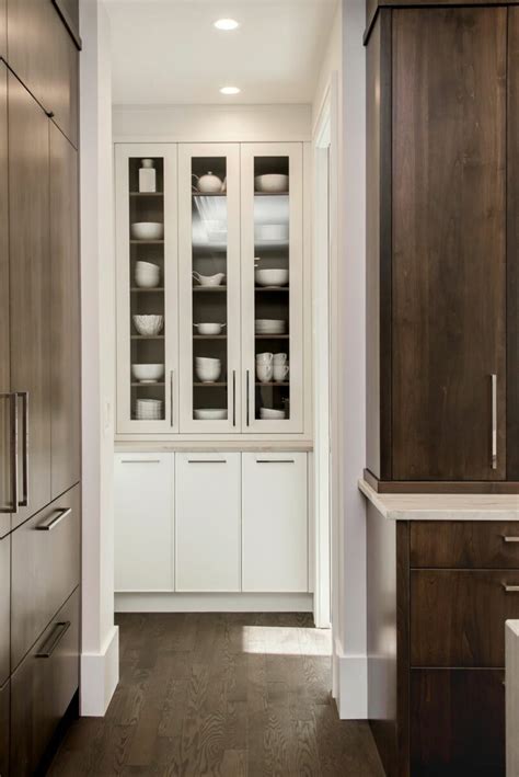 Glass Pantry Door Ideas Upgrade Your Kitchen With Different Styles