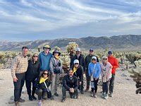 The Pinto Basin All You Should Know Before Going 2026 With Reviews