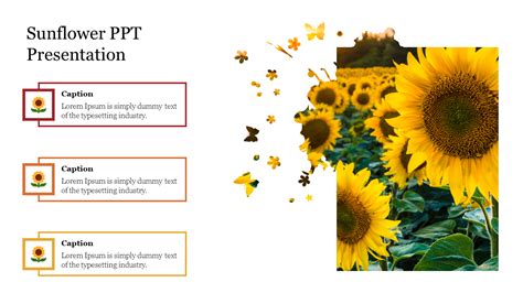 Sunflower Powerpoint Template