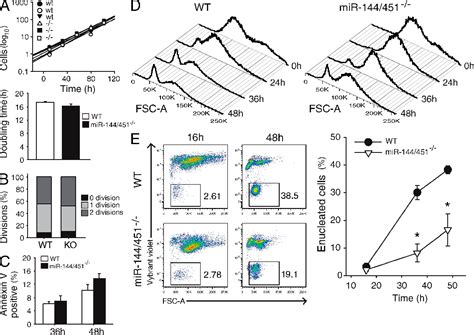 Erythroid Hyperplasia Semantic Scholar