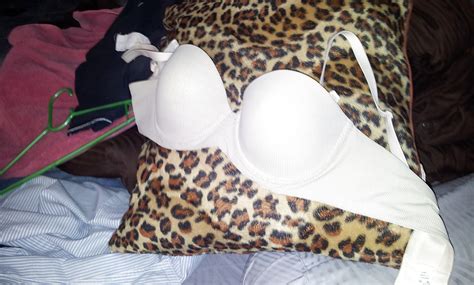 Sex With Sisters Bra And Her Leopard Cushion Porn Pictures Xxx Photos Sex Images 767686 Pictoa