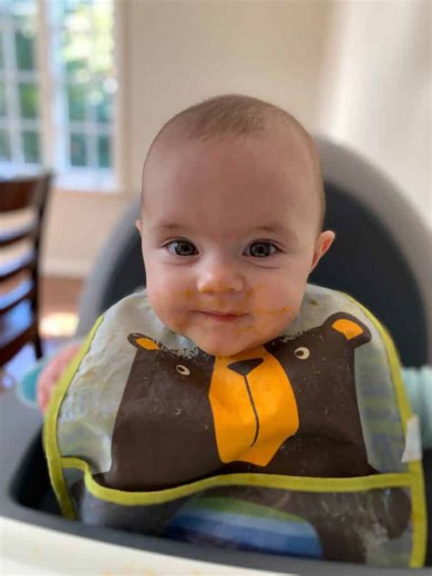 Starting Solids With Beech Nut The Chirping Moms