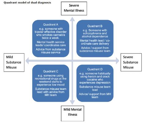 3 Literature Review Drug And Alcohol Services Co Occurring