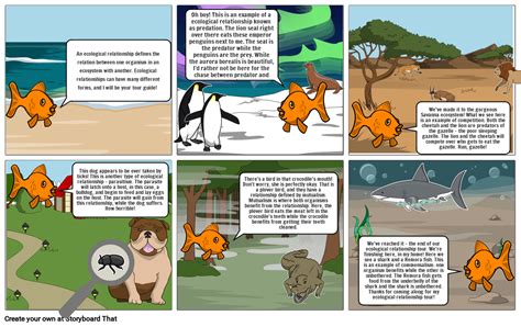 Untitled Storyboard Storyboard Por A1a2127b