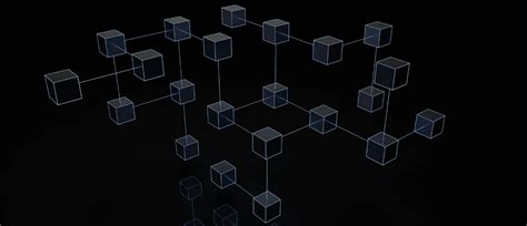 Evm Vs Non Evm Protocols Understanding The Backbone Of Blockchain