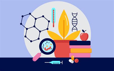 After Biomedical Engineering