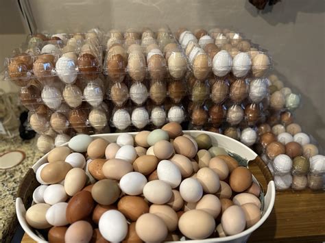 Tiny Desert Living Added A New Photo Tiny Desert Living