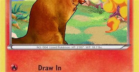 Charmander Char Imgur