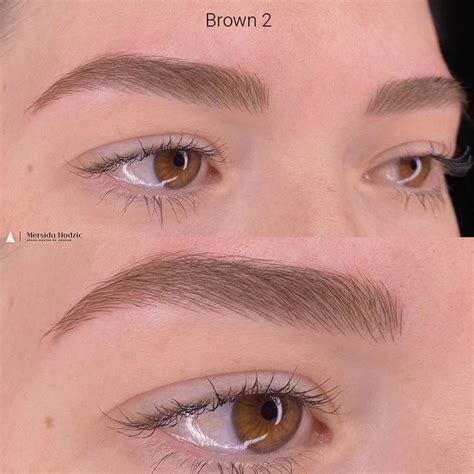 Phibrows Pigment Chart Phibrows Colors Illustrated