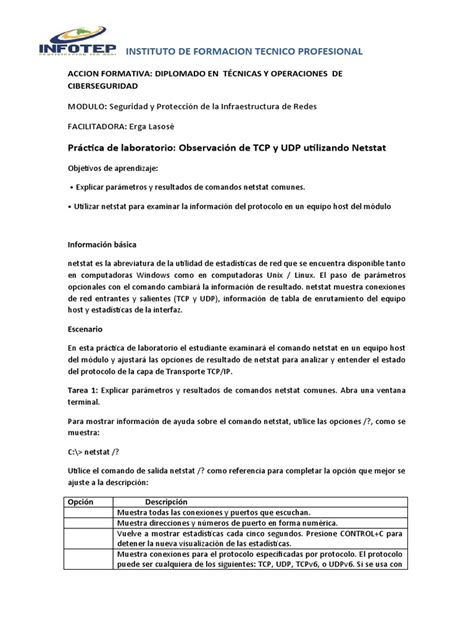 práctica de laboratorio netstat pdf protocolo de control de
