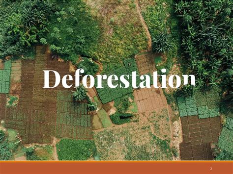 Deforestationppt