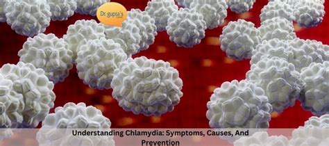 Chlamydia Symptoms Causes Prevention And Effective Treatments