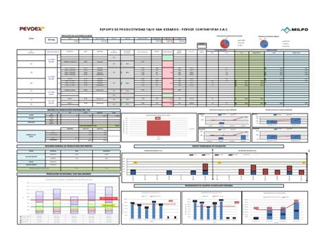 Reporte De Productividad Tsg Pdf