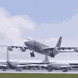 The Plane Saw A Bird Imgflip
