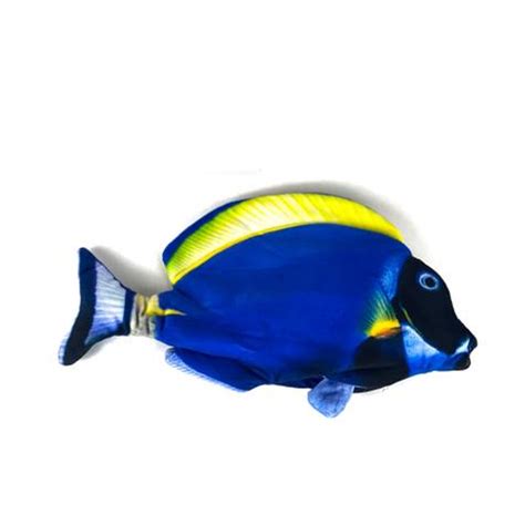 Pez Con Movimiento Y Catnip Doris — Tusmascotas Cl