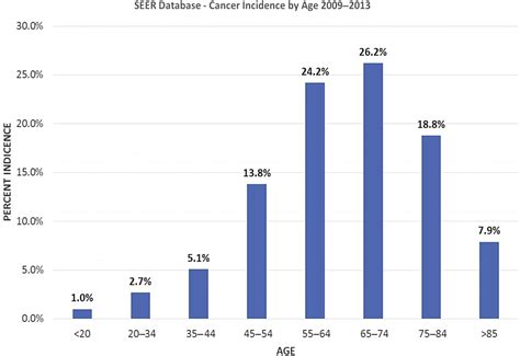 Advancing Treatment Approach To The Older Patient With Cancer Through