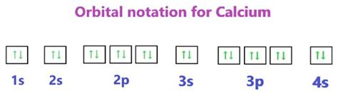 Ca Orbital Diagram