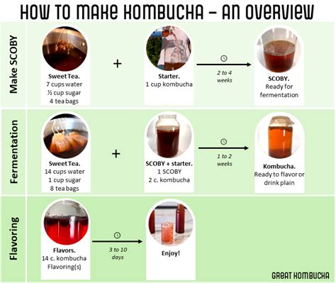How To Make Kombucha Great Kombucha