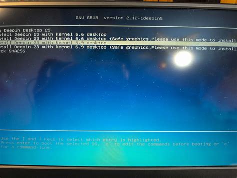 Windows安装deepin双系统deepin双系统安装教程 Csdn博客