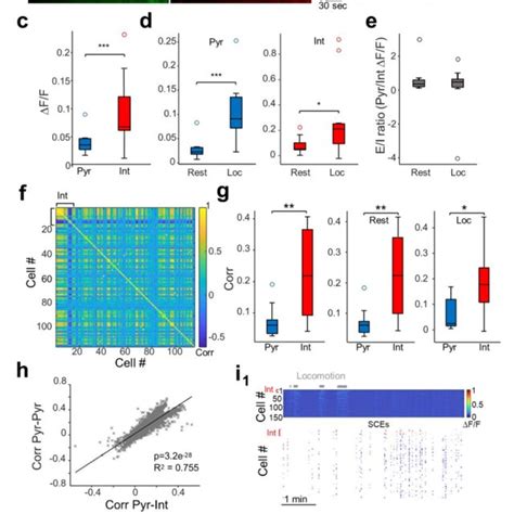 Ca1 Interneuron Activity Is Linked To Pyramidal Cell Synchrony A