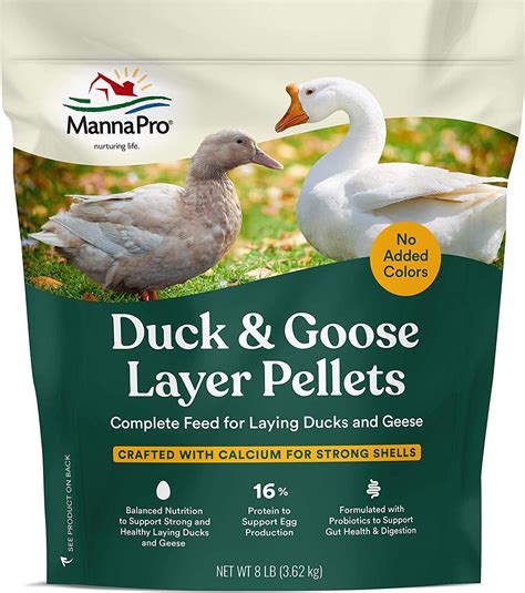 Best Feed For Ducks —top Duck Feed Review And Buying Guide
