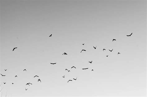 Crear Una App Interactiva Usando Fastapi Y React Ejemplo De Integración Backend Frontend