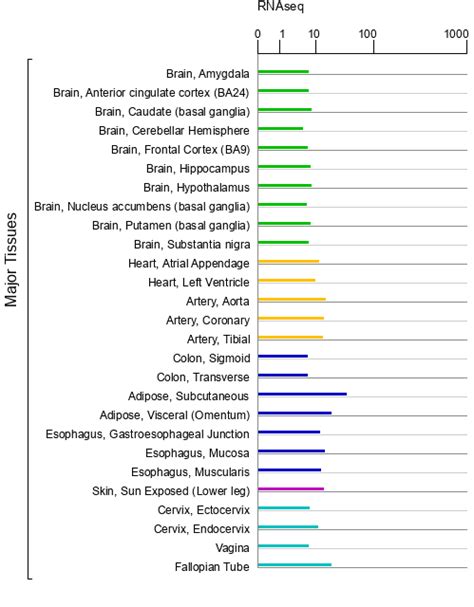 Fmo3 Gene Genecards Fmo3 Protein Fmo3 Antibody
