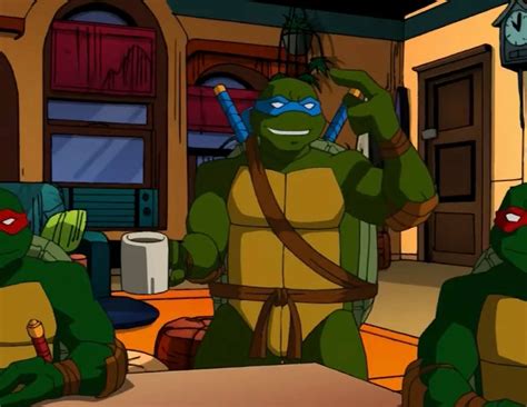 Tmnt 2003 Raph Leo And Donnie By Hedwieapotter On Deviantart