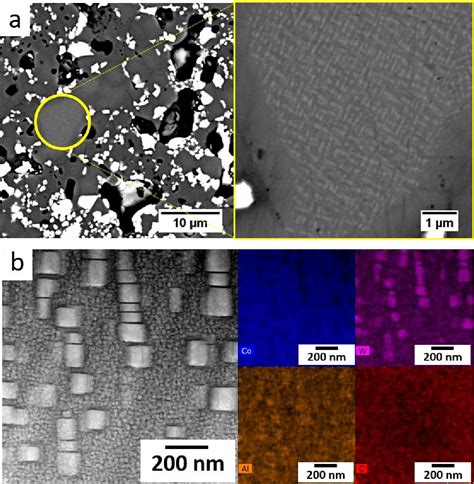Figure 3 From Formation Of A Microstructure In Co Based Superalloys Produced By A Powder