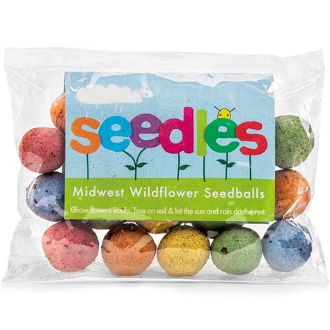Northeast Wildflower Seed Bombs At Kai Wieck Blog