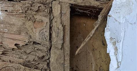 Garage Header Beam Damage Album On Imgur