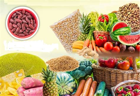 Warfaa Group Holdings Ltd The Kampala Agribusiness Directory