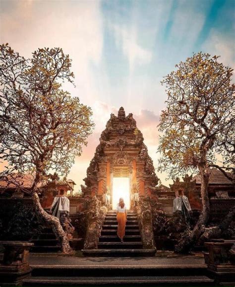 Ubud Rice Terrace Tour Best Day Tour For Your Bali Holiday